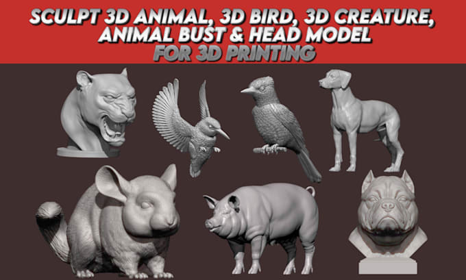Sculpt 3d animal model animal bust head character birds creature for 3d ...