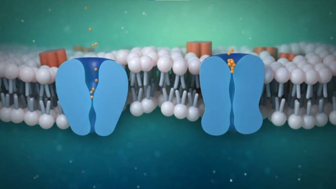 3d medical animation,3d medical procedure video, surgical, scientific ...