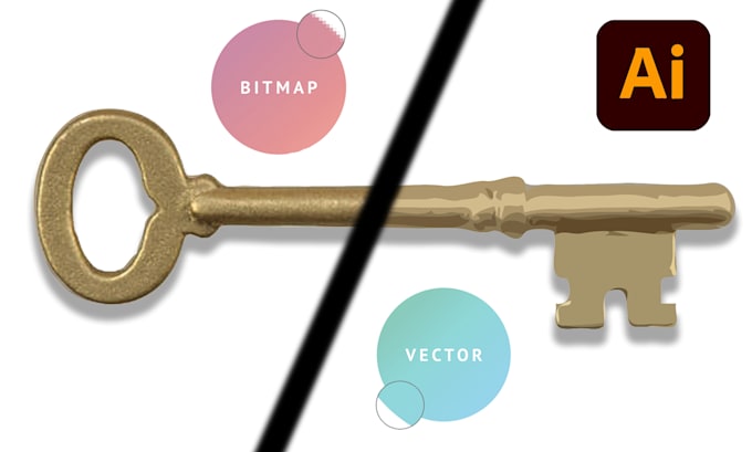 Do vector illustration from image by Brumbo | Fiverr