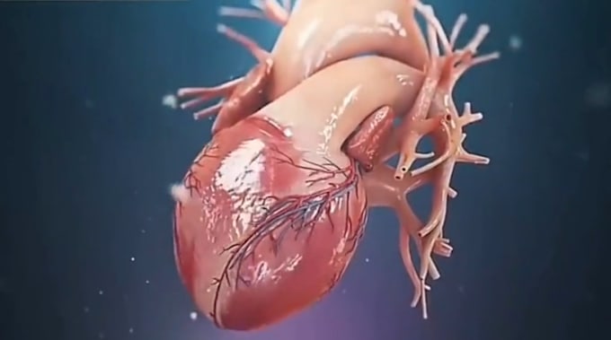 Render 3d medical animation, 3d surgery animation, 3d anatomy animation ...