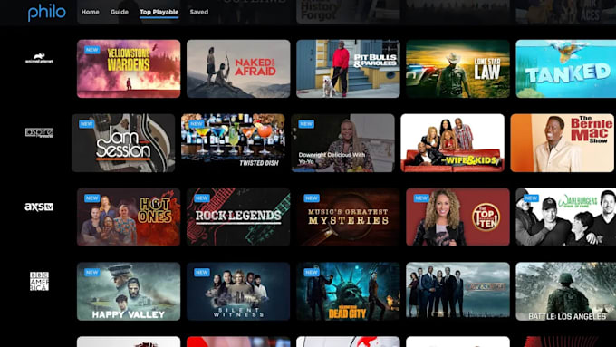 Build custom iptv smart player vod roku channel, android tv, apple tv ...