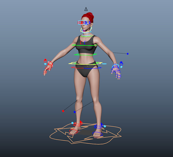 Create a character rig for you by Chiarasanasi | Fiverr