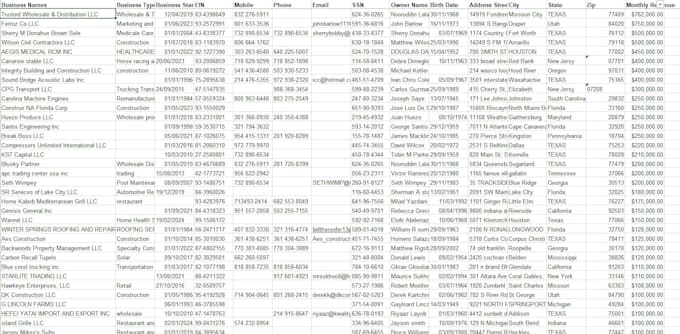 Provide targeted mca leads with full packages or excel only lists by ...