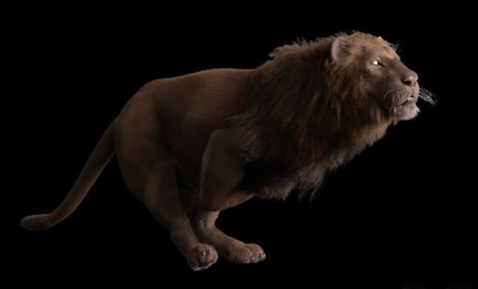 3d character model, 3d animal character, character rigging and ...