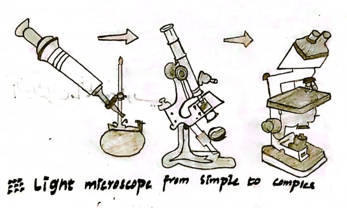 Draw labelled medical, anatomy and scientific figures and diagrams by ...