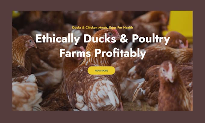 Design poultry meat store butcher seafood store butcher store farm meat ...