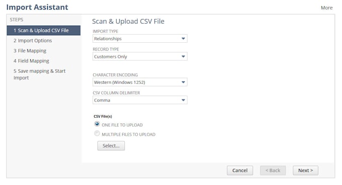 Load data into netsuite via csv upload by Mannygore | Fiverr