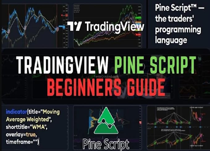 Code And Bot Tradingview Pinescript To Mt4 Mt5 Tradestation Ninjatrder By Felixhenr Fiverr