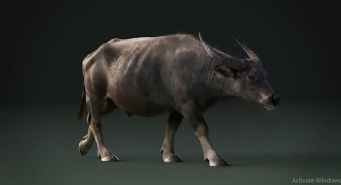 Create cgi animal animation, 3d animal design, 3danimal creatures ...