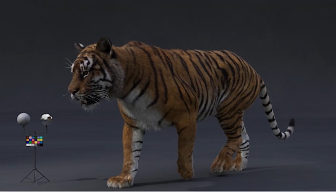 Render realistic 3d animal animation, 3d animal creature, animals ...