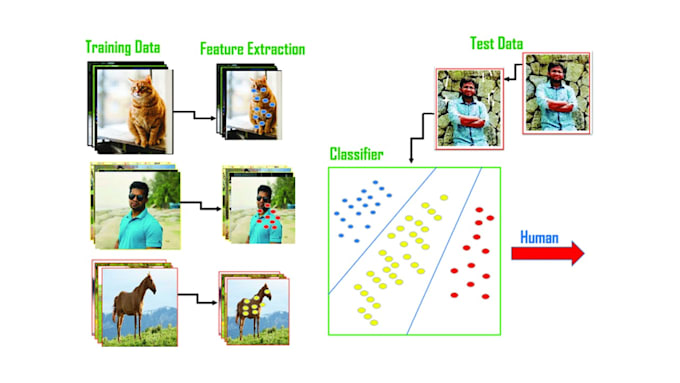 Do Image Classification And Object Detection Using Yolo By Asadjalalq