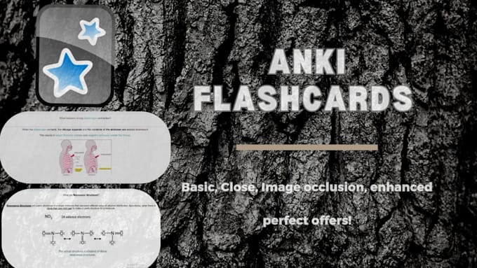 Create effective anki flashcards and summaries by Hamzanasir755 | Fiverr