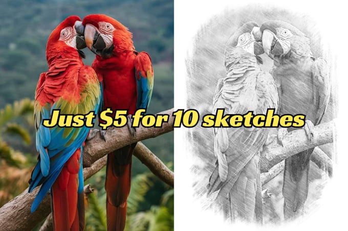 Change your photo into pencil sketch by Lam_am | Fiverr