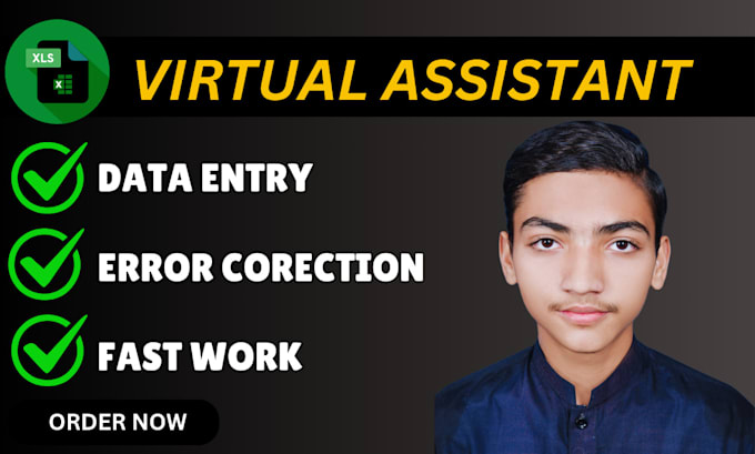 Do fast and accurate data entry operations by Ferozee01 | Fiverr