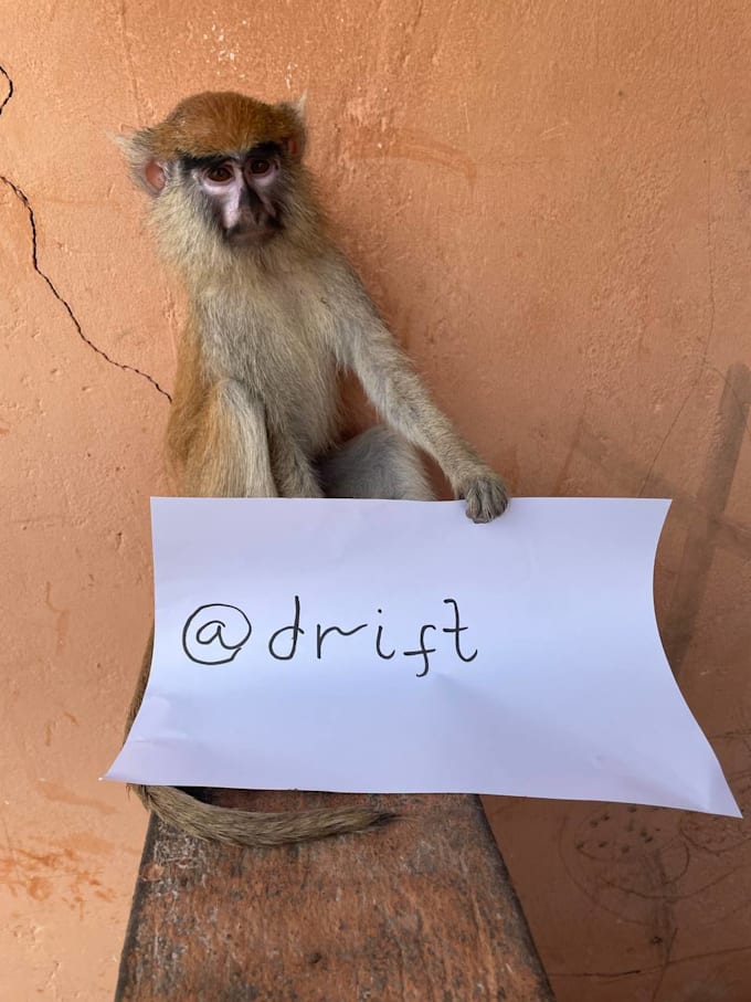 Create custom monkey fan signs by Tomzhu398 | Fiverr