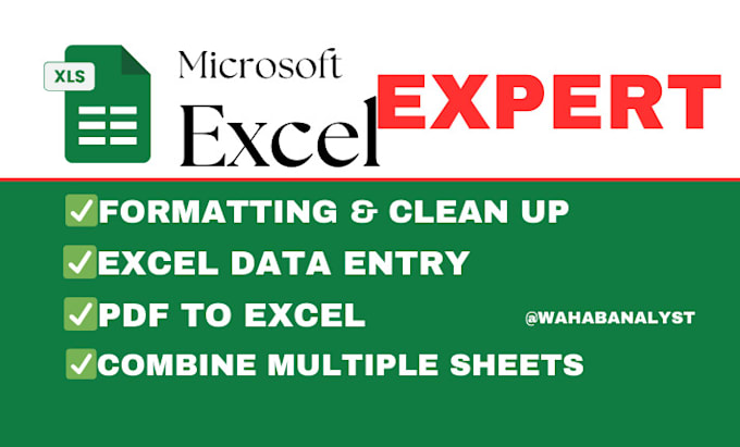 Do data entry sorting, filter, remove duplicate, split, format in excel sheet by Abdwahabanalyst ...