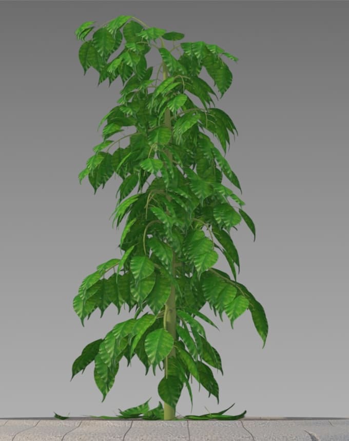 Render realistic 3d plant modelling, cgi flower design, 3d vfx plant ...