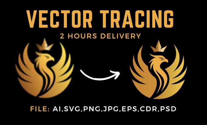 Manual vector tracing in 2h ,redraw, recreate to vector file or logo redesign by Amir_hayatan ...