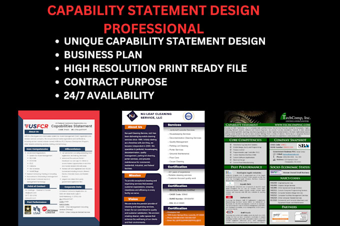 Government capability statement, capability statement, government ...