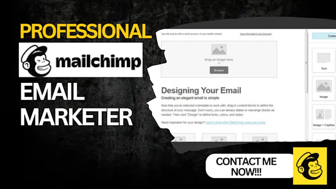 Design mailchimp email campaign template, popup form landing page and automation by Tony ...