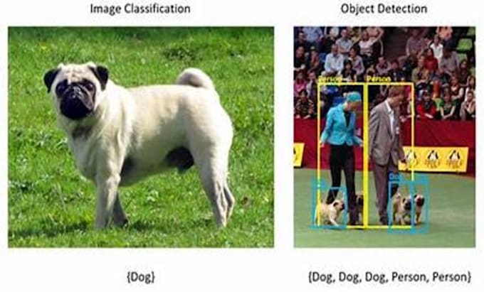 Ai Object Detection Models Yolo Tensorflow Pytorch By Parasmakhootee