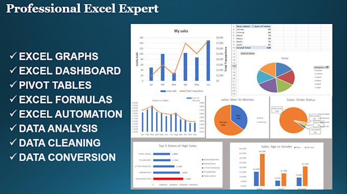 Do excel and dashboard, pivot, chart and graph by Venkat_rsv | Fiverr