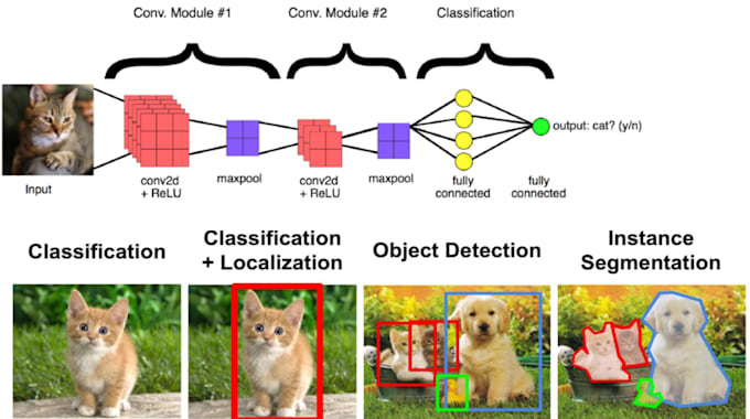 Do Image Processing Clustering Classification Sentiment Analysis Projects By Drmusadiq Fiverr