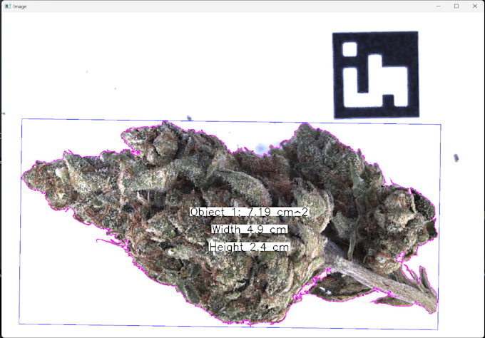 Do computer vision, data science, opencv, and deep learning in python by Dror_yitzhak | Fiverr