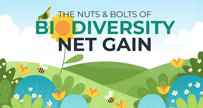 Write your uk biodiversity net gain report using the latest metric ...