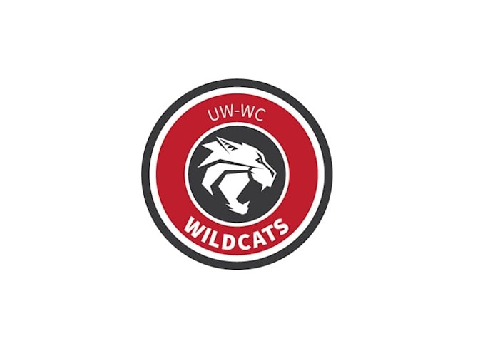 Make magnificent innovative new wildcat logo by Amin_tofan | Fiverr