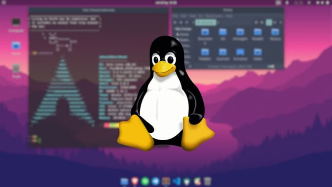 Troubleshoot your linux system by Nexlink_norway | Fiverr