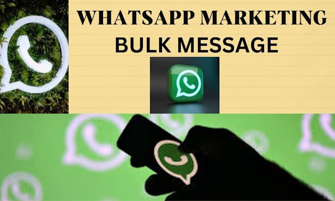 Bulk whatsapp messaging software setup and configuration by Kenevans504 | Fiverr