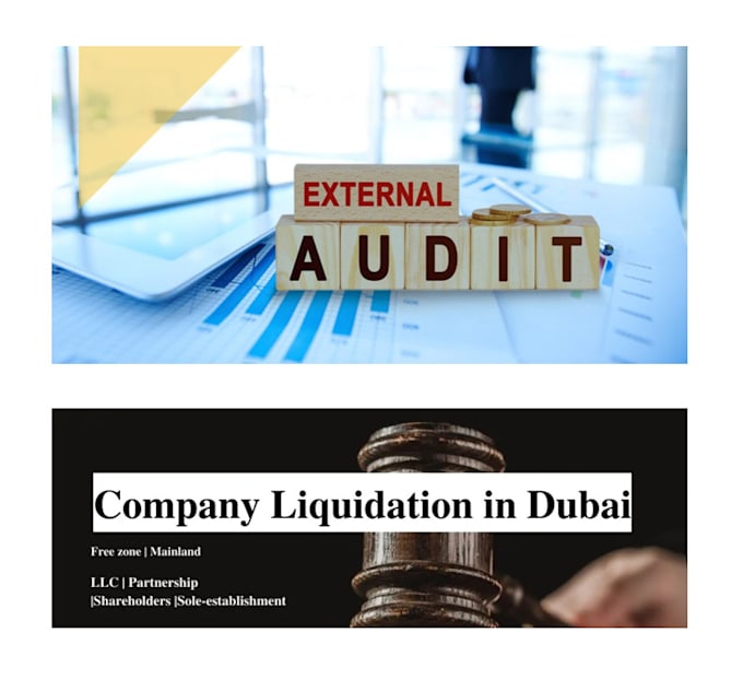 Financial statements audit, provide liquidation report by Syednoman ...