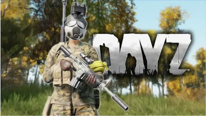 Make you a dayz server with mods and scripts by Davidthomson4 | Fiverr