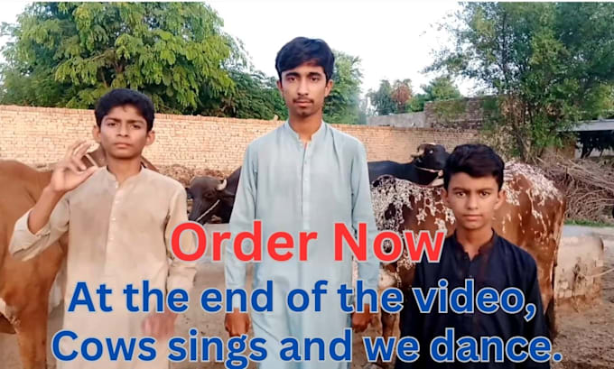 Create funny happy birthday video with dance cows voice by Hamziiiking ...