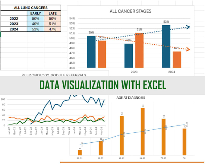 Create and format graphs and charts using excel by Lmcburney | Fiverr