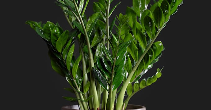 Create realistic 3d plant model, plant vfx, cgi flower design,3d plant ...