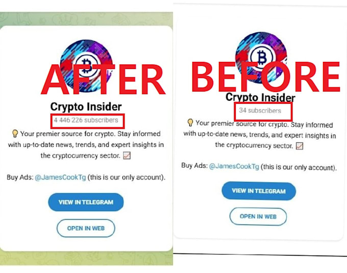 Grow promote telegram, pump token, meme coin, dex, solana, pump fun, presale by Destiny_bb | Fiverr