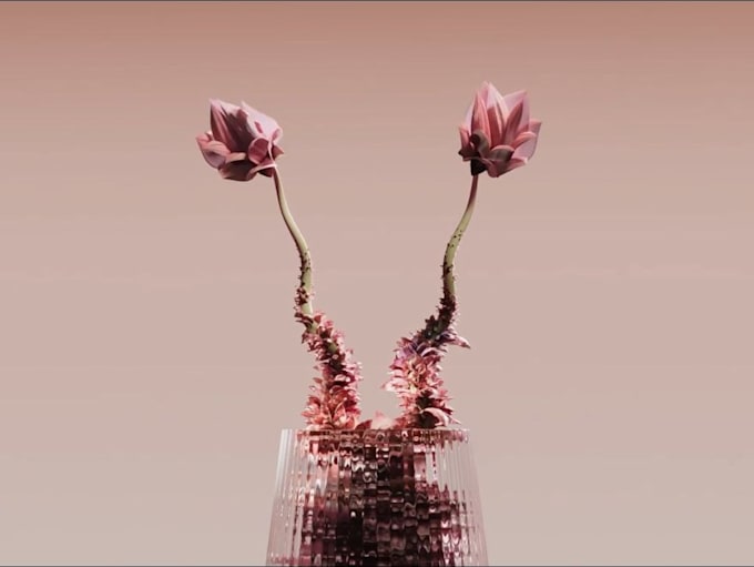 Render realistic cgi plant animation, 3d plant model, flowers, trees ...