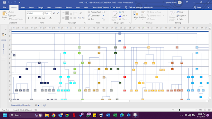 Organizational hierarchy with grading structure by Ayeshashafiiiq | Fiverr