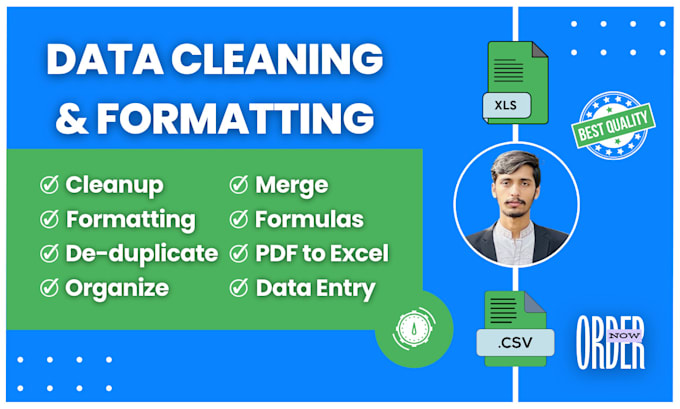 Be your microsoft excel expert to cleanup, organize, merge, and format ...
