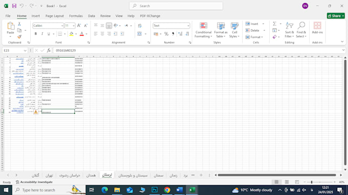 Microsoft excel formatting and edite by Elham_norouzi | Fiverr