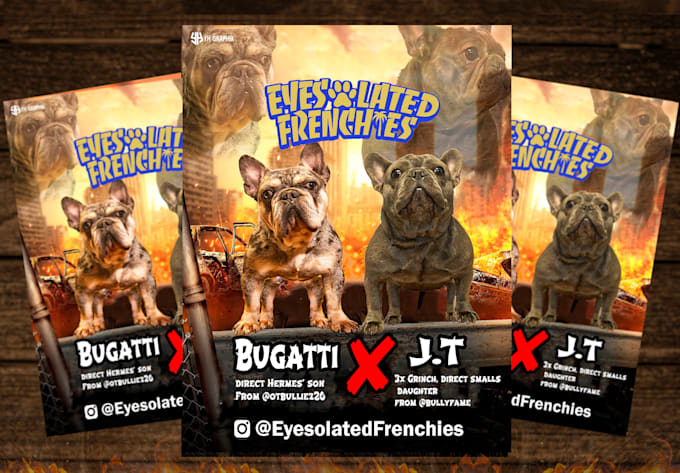 Design dog stud, breeder, kennel banner, kennel flyer by Yhgraphix | Fiverr