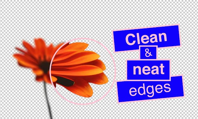 Erase the background super cleanly from any image by Hiedrastudio | Fiverr