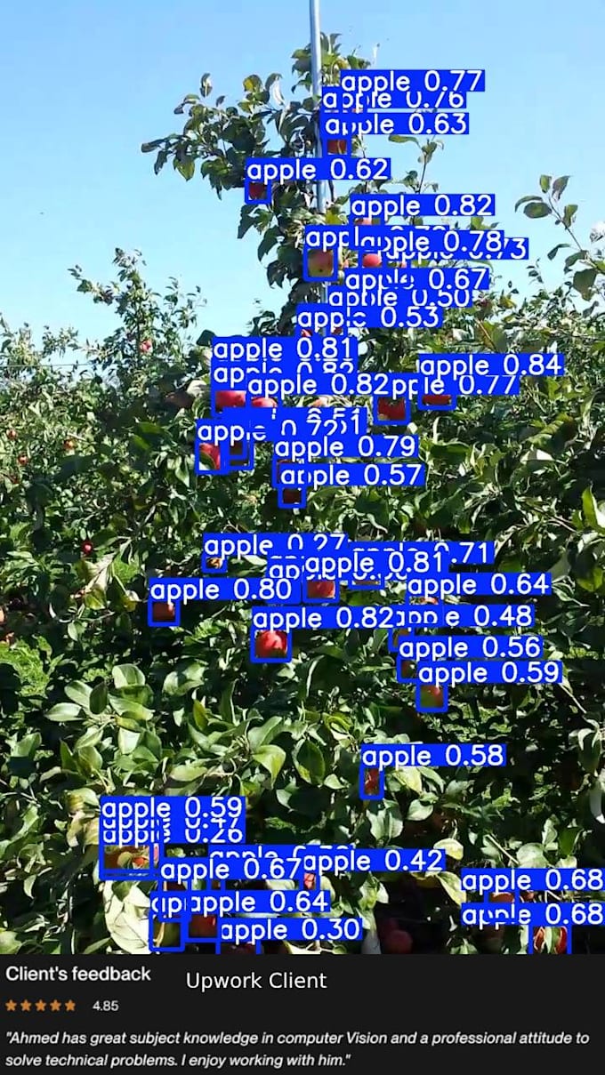 Train A Custom Object Detection Model With Deep Learning By Ahmed Shaha Fiverr
