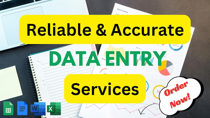 Accurate and efficient data entry with attention to detail by Fadhli_01 | Fiverr