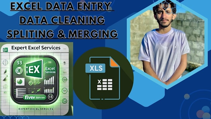 Do data entry , data cleaning and split data by Ahmermalik104 | Fiverr