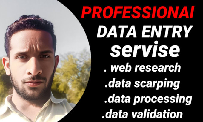 Fast and accurate data entry services by Alikalar | Fiverr
