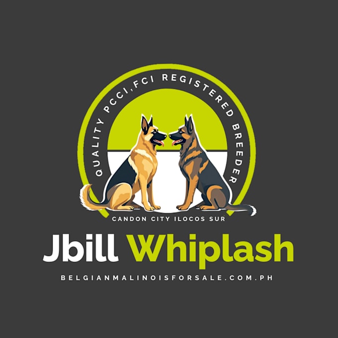 Design a custom logo for your company, business, org, club or product ...