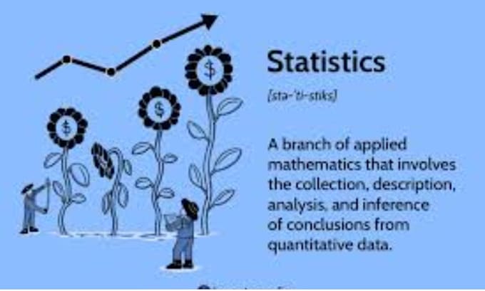 Do statistical data analysis with r, spss, sas, excel and jasp by Hunainbutt5735 | Fiverr